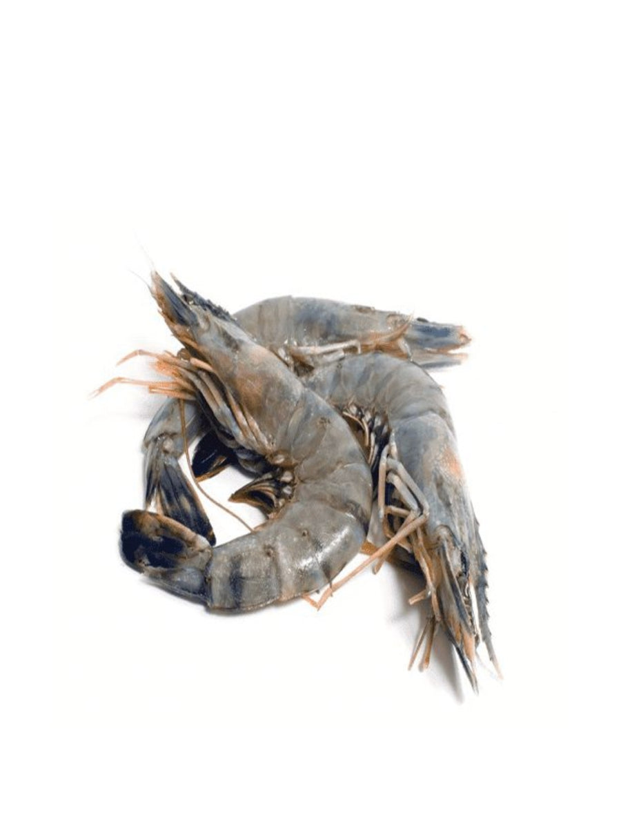 UDANG LAUT BESAR/ KING PRAWN XL +/-1KG – Village Grocer - Subang Parade
