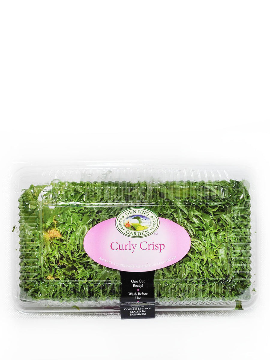 GG CURLY CRISP LETTUCE PKT – Village Grocer - Subang Parade